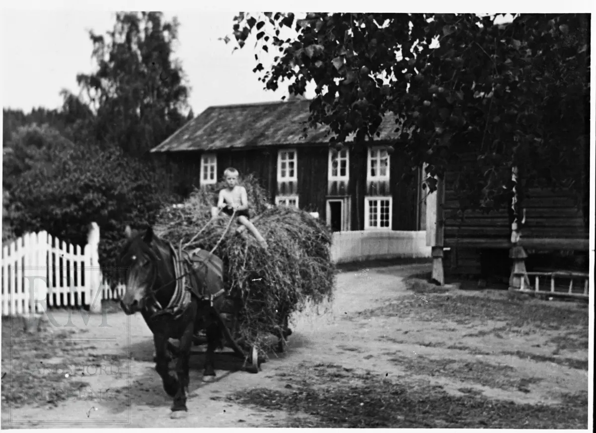 Gutt på toppen av et høylass, trukket av en hest -Hadeland Folkemuseum ...