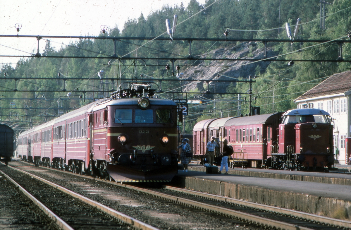 Ekspresstog fra Stavanger til Oslo, tog 74, kjører inn på Nelaug ...