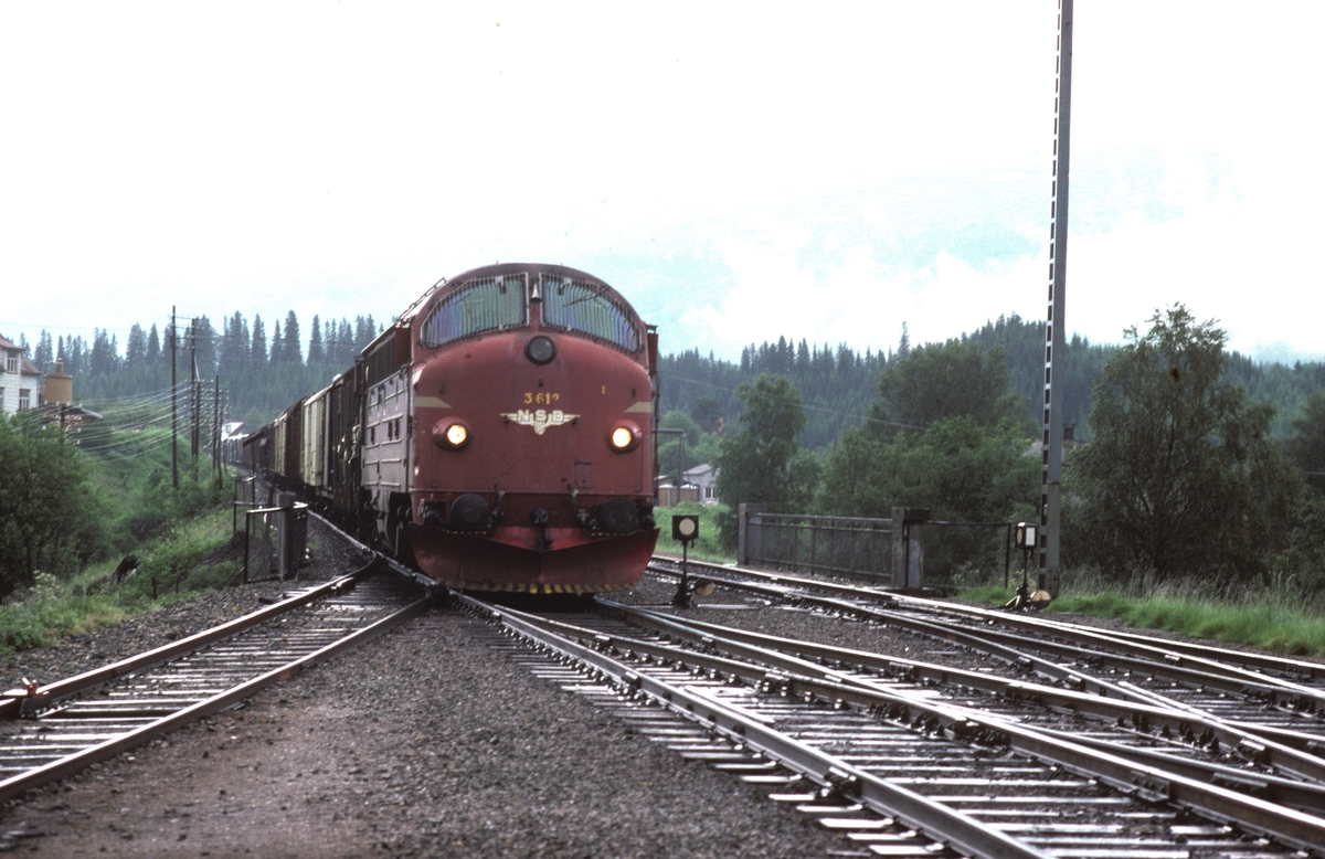 NSB godstog 5793 (Trondheim - Bodø) kjører inn på Grong stasjon med ...