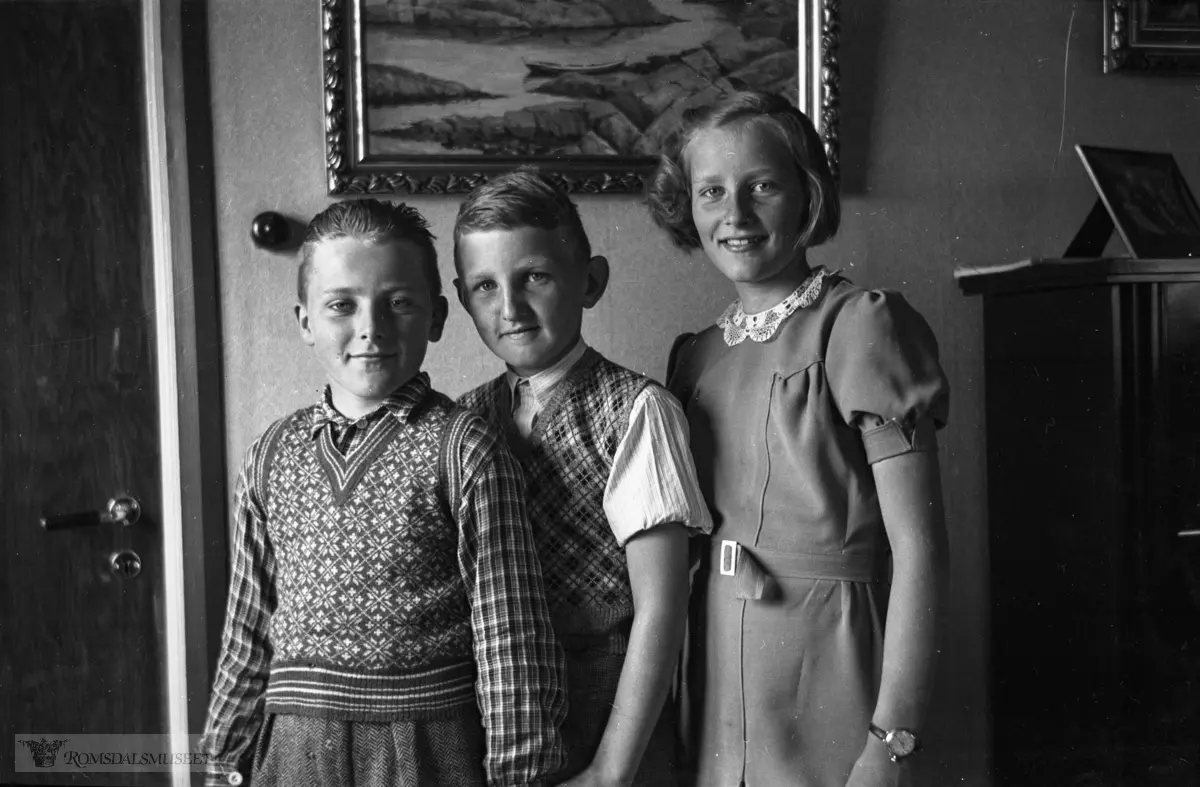 "Hatlen" .Familien til Meieribestyrer Olav Hatlen..Familien Hatlen ...