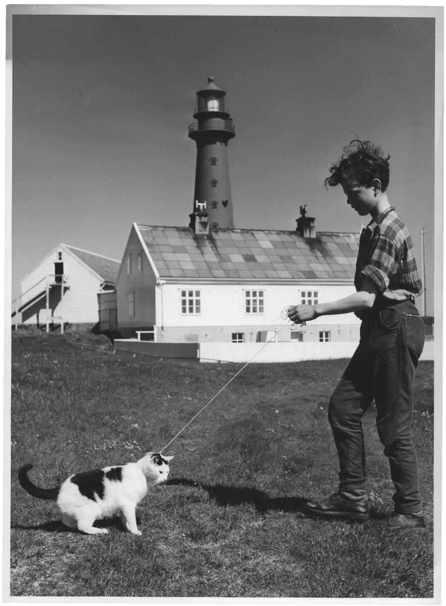 Katten på Skomvær fyr har båndtvang -DEXTRA Photo / DigitaltMuseum
