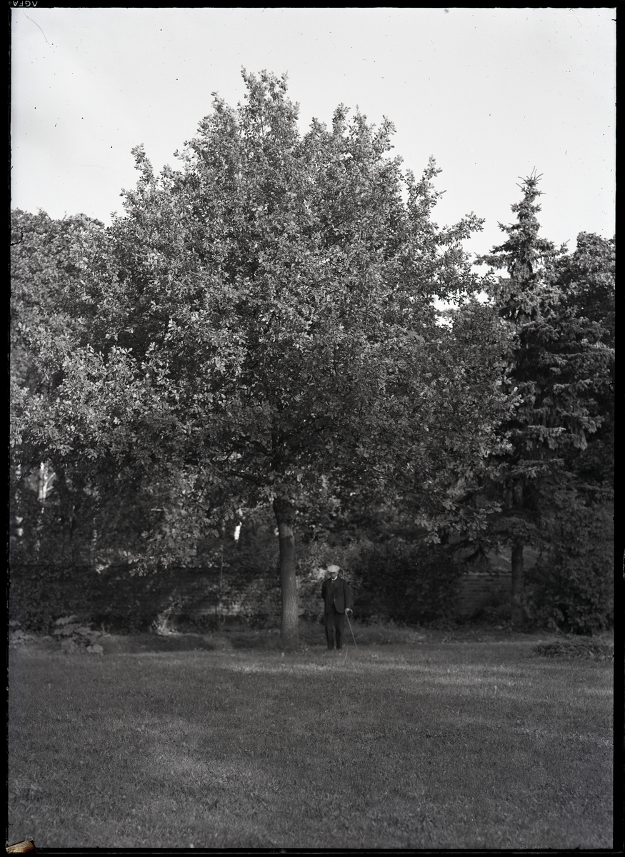 Pilbo. Kristinagatan nr 14, Västerås. -Västmanlands läns museum ...