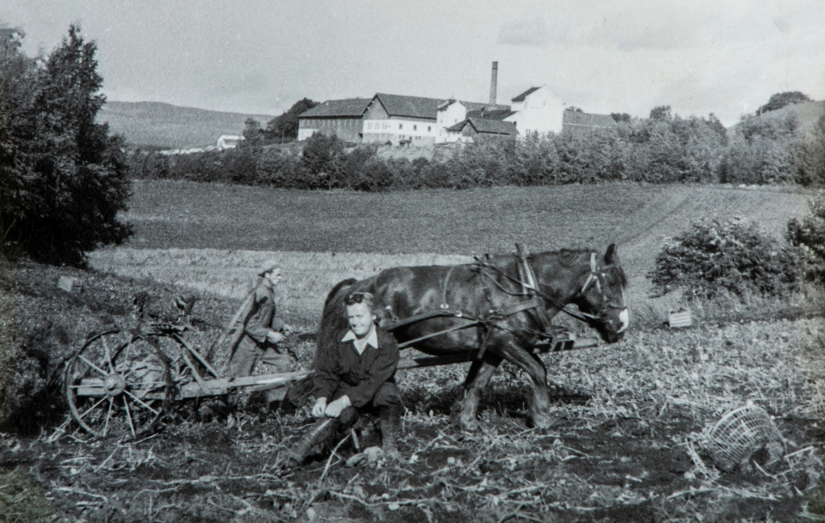 Vang H, Åker gård, noen ble tvangsutskrevet til å hjelpe til med ...
