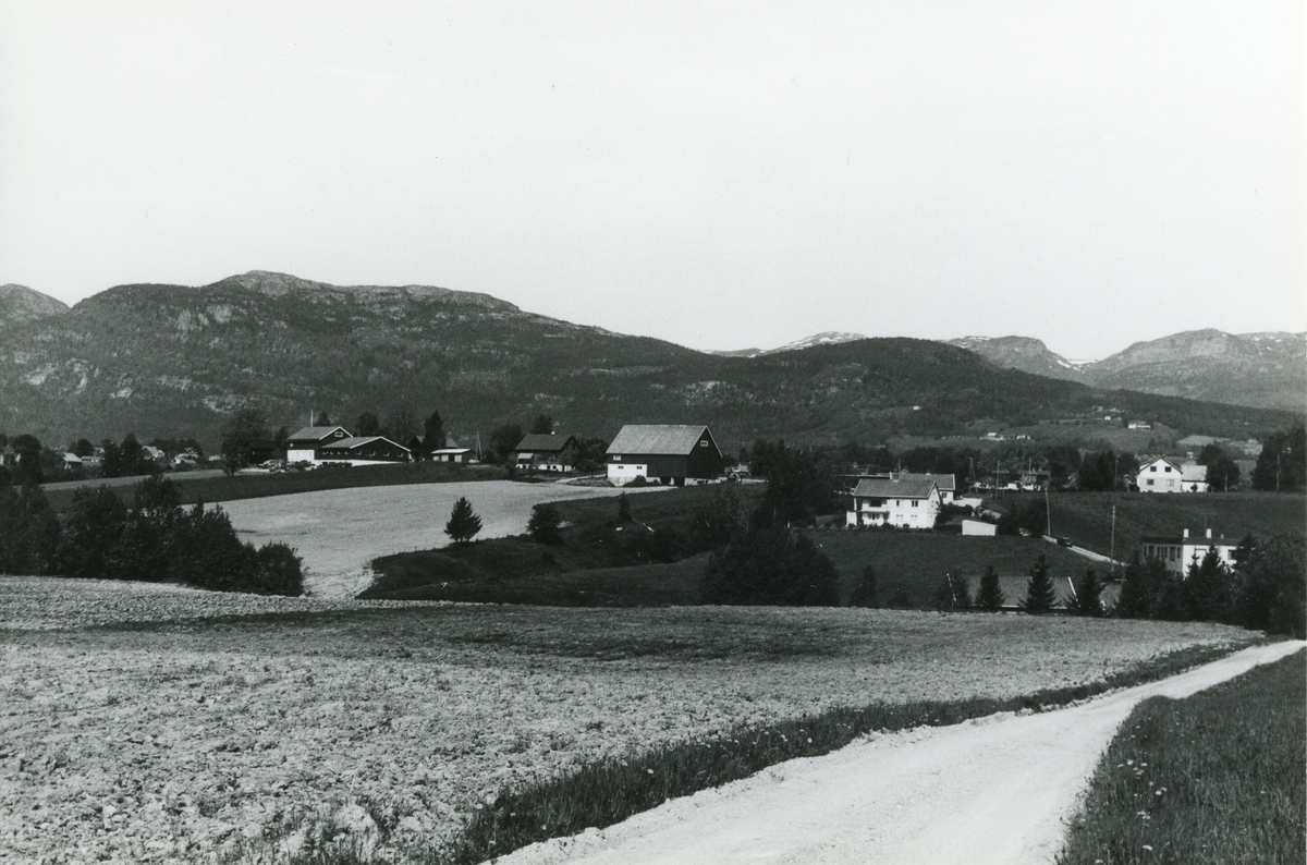 Haugerud sett frå Kleppenjordet. -Bø Museum / DigitaltMuseum