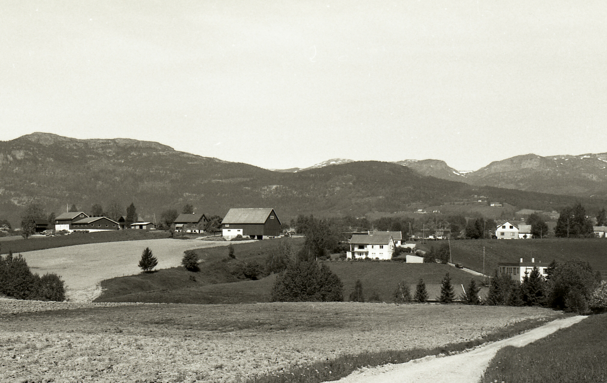 Haugerud sett frå Kleppenjordet. -Bø Museum / DigitaltMuseum