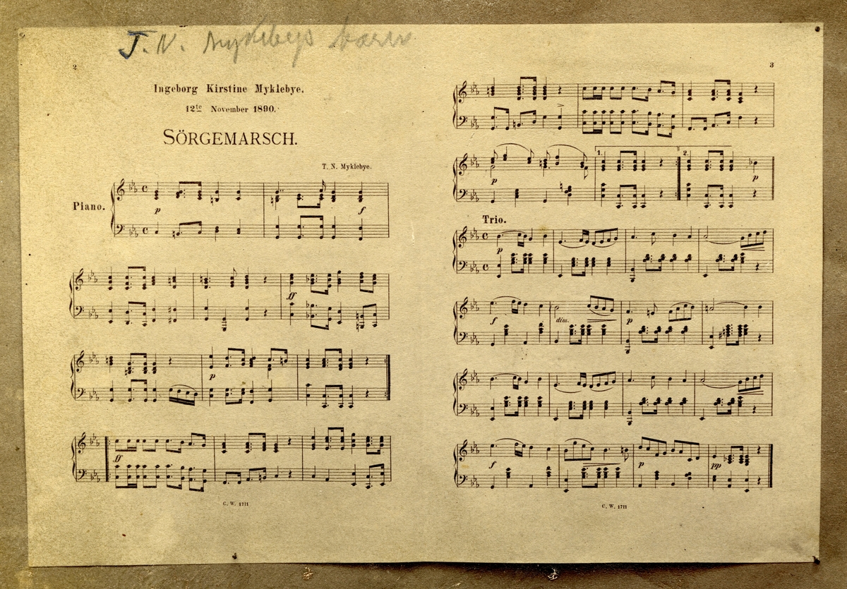 Ingeborg Kristine Myklebu (f.1870 - d.1890), datter av T.N.Mykleby ...