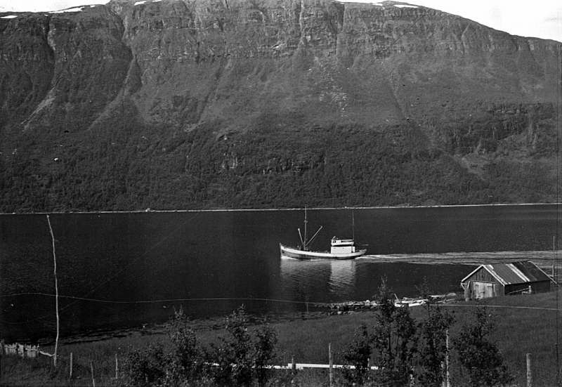 "Tennholmen" på fjorden, Aursfjord -Midt-Troms Museum / DigitaltMuseum