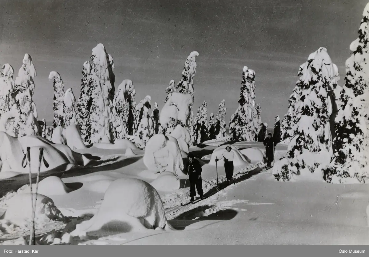 Vinter i Norge. -Oslo Museum / DigitaltMuseum