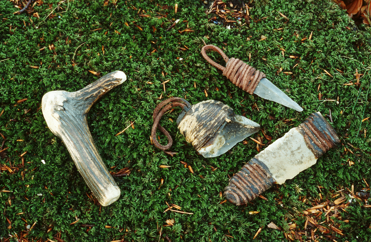 Rekonstruerte redskaper av flint og hjortegevir. -Arkeologisk museum, Universitetet i Stavanger ...