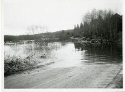 Flomstor elv