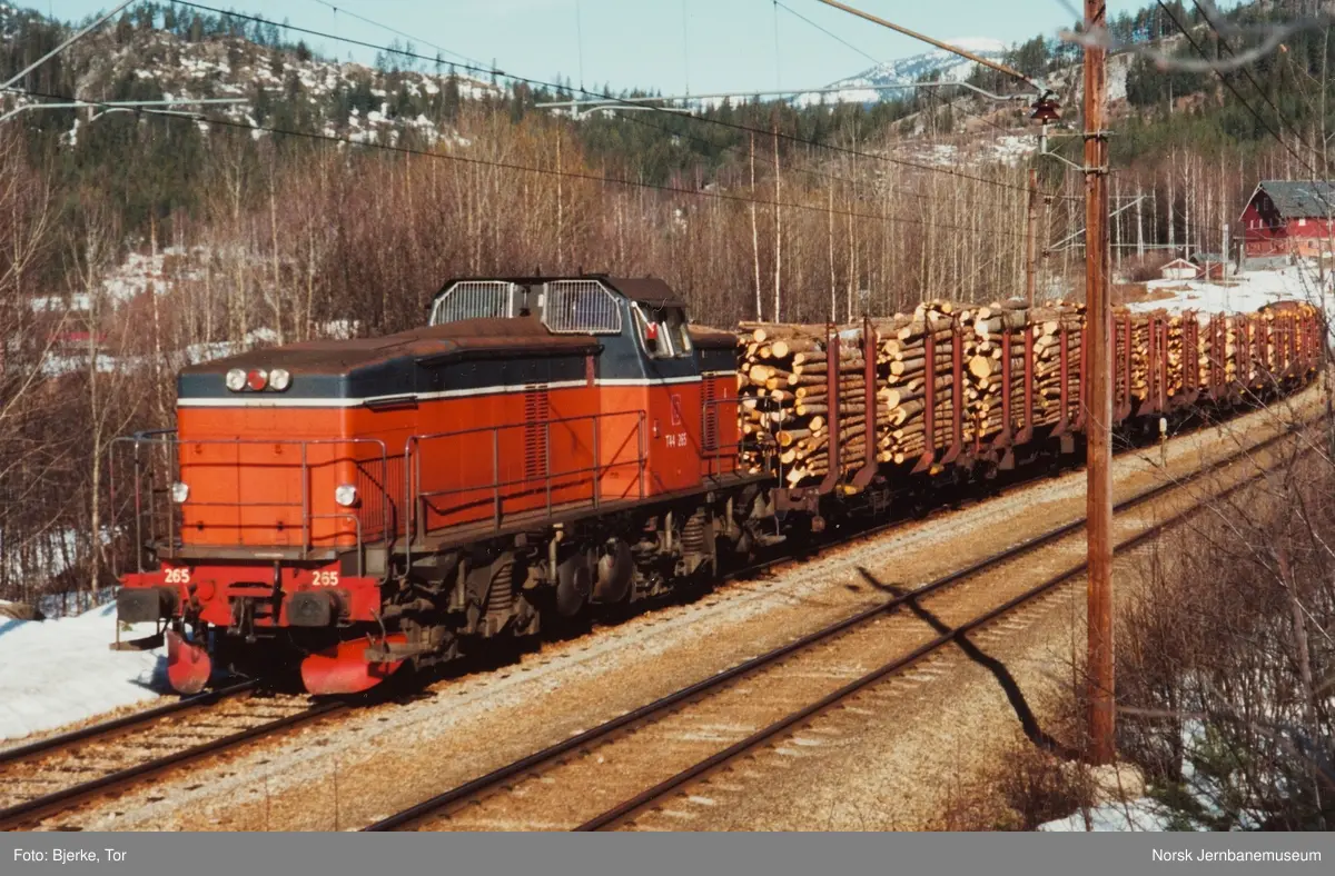 Innleid diesellokomotiv T44 265 med godstog med tømmervogner avventer ...