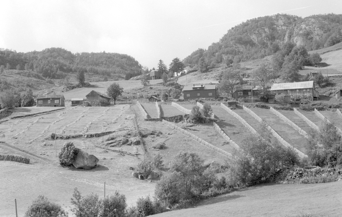 Registrering av kulturminner i Røldal/Suldal. Hamrabø, Suldal k. -Arkeologisk museum ...