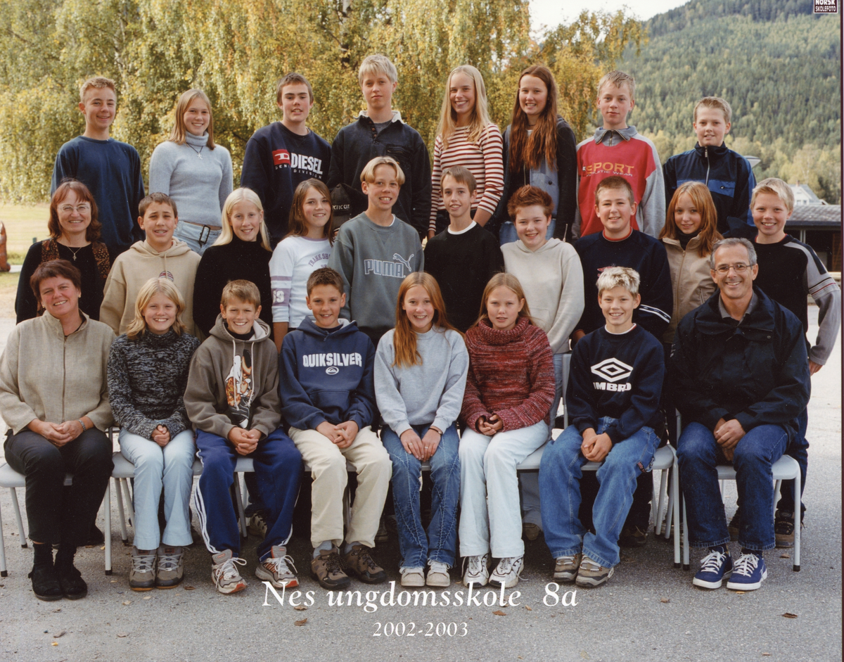 Nes ungdomsskole -Hallingdal museum fotosamling / DigitaltMuseum