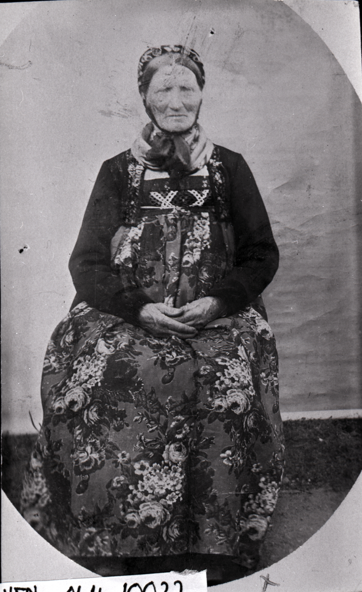 Portrett av Eli Stertebakken i bunad, flott forkle -Hallingdal museum ...