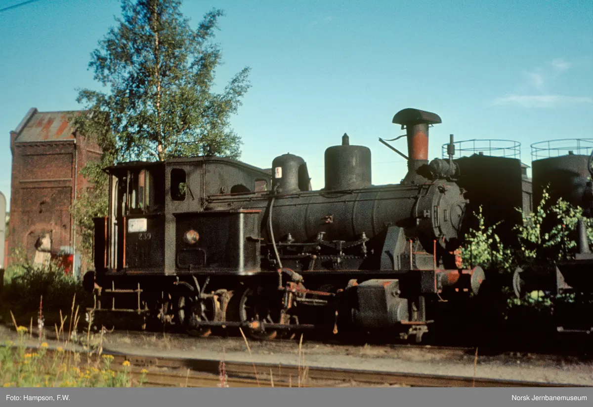 Utrangert damplokomotiv type 25a 239 på Sundland ved Drammen -Norsk ...