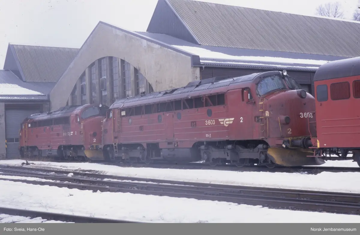 Diesellokomotivene Di 3 603 og Di 3 621 på Marienborg ved Trondheim ...