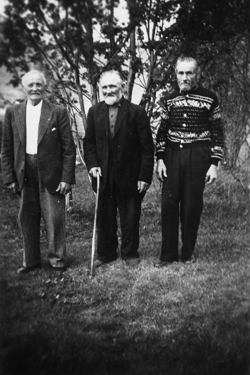 Fra venstre: Henrik Berg Hermansen, f.1870 i Steinfjord, Hans Hermansen ...