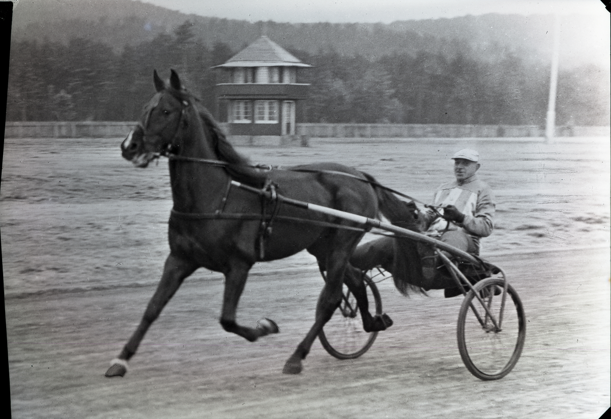 Foto av travhesten Peter Glow, med sulky og kusk Påskrift på konvolutt ...