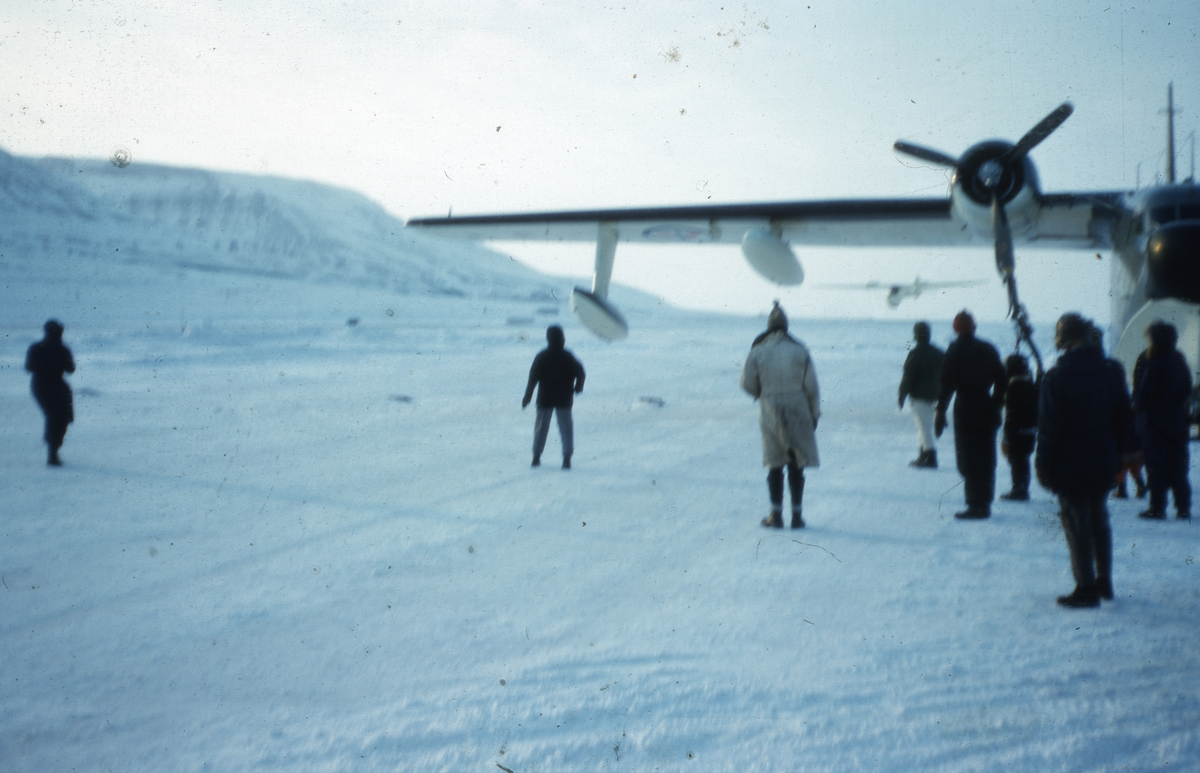 Landing med post-fly i Adventdalen. To Grumman Hu-16 Albatross fra ...