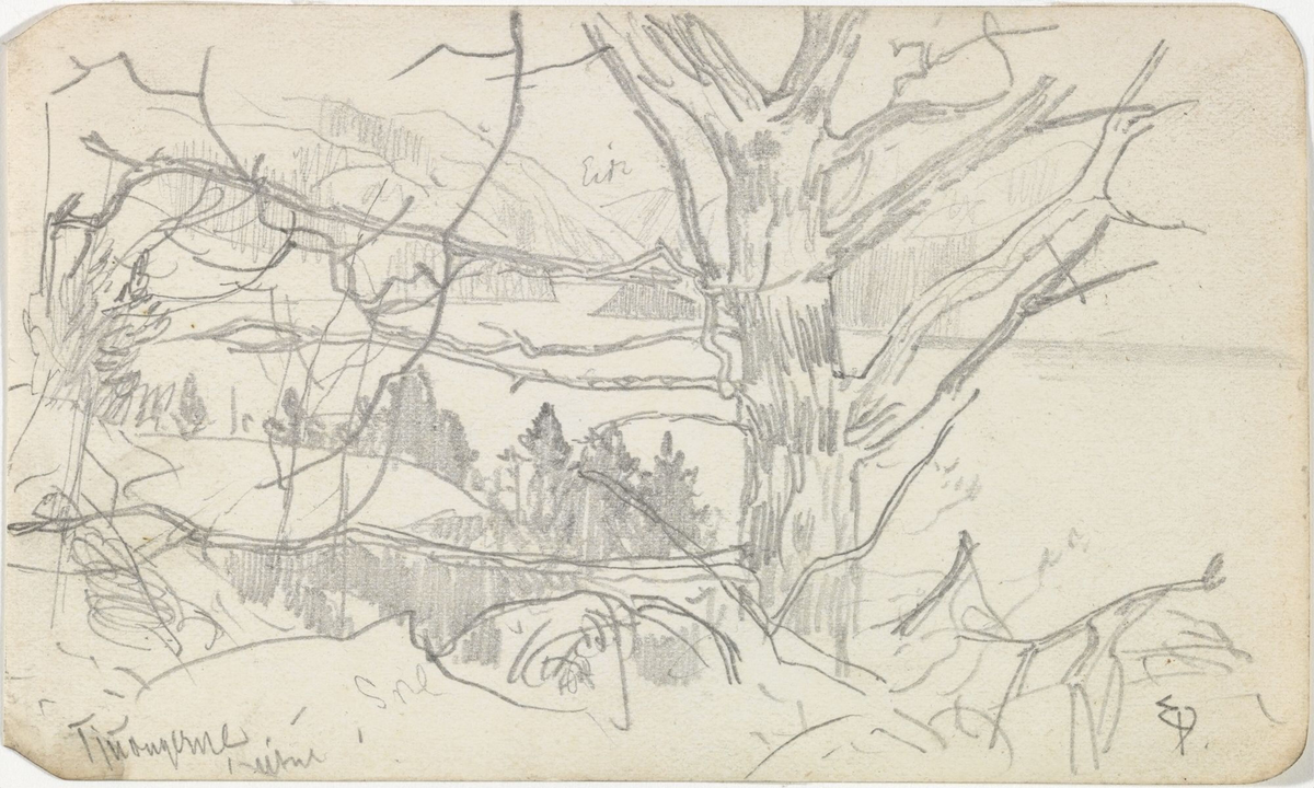 Tjoungane, Utne [Tegning] -Nasjonalmuseet, billedkunstsamlingene ...