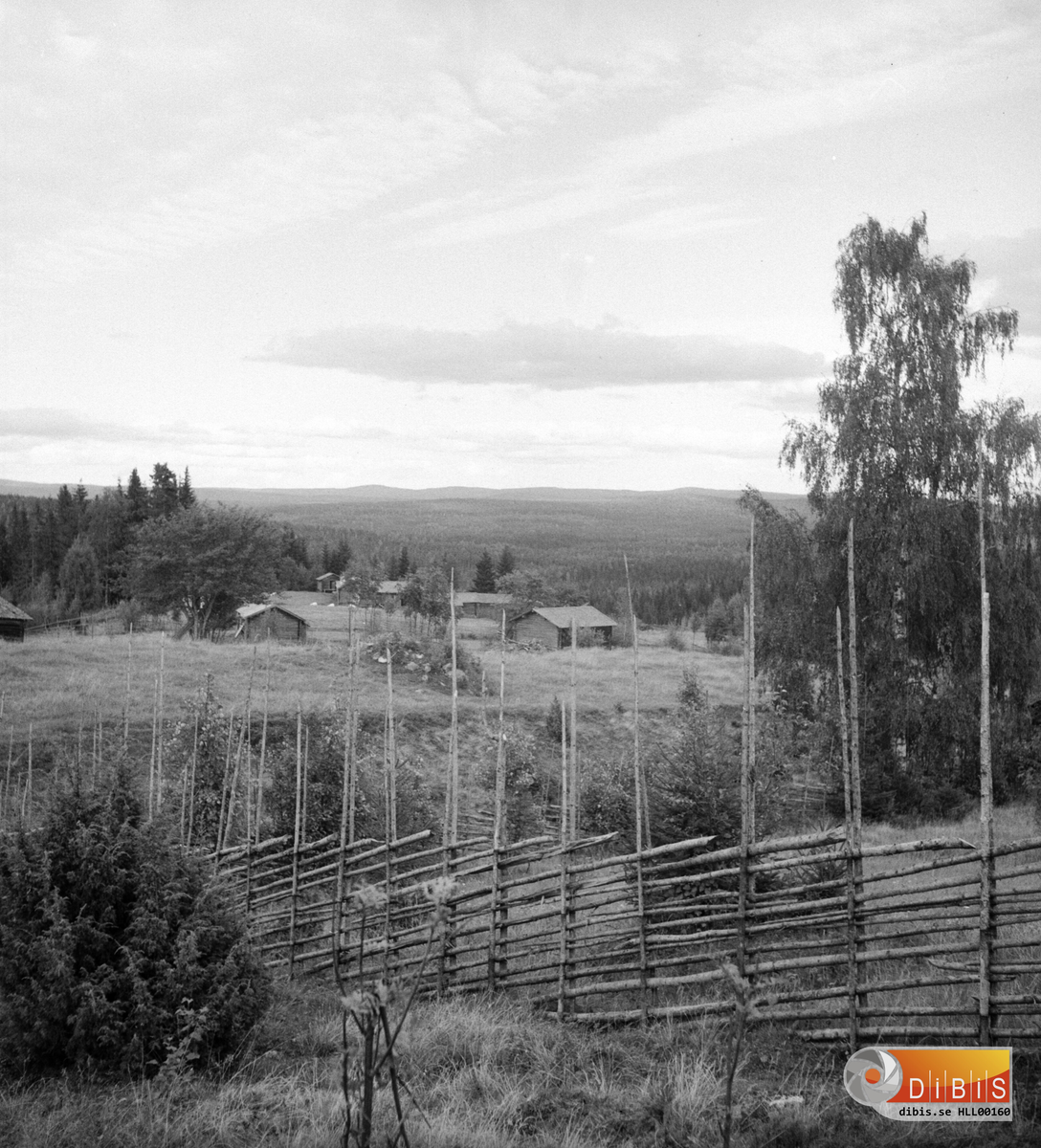 Ovanåker, Torpets fäbodar, utsikt utan sol med hage. -Digital Bild i ...