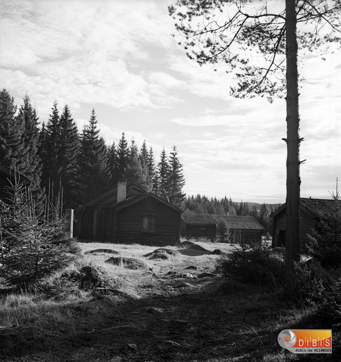 Ovanåker, Fäbodvall vid Ryggesbo. Hans-Ols fäbodvall. -Digital Bild i ...