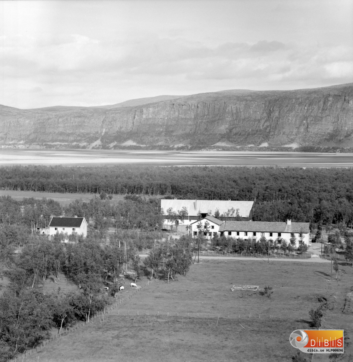 För att främja jordbruksnäringen grundades år 1919 Finnmarks ...
