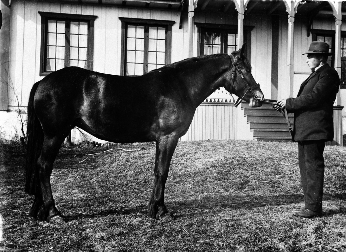 Baardseth med hest for hovedbygningen i Bekkelund, Ringsaker. -Anno ...