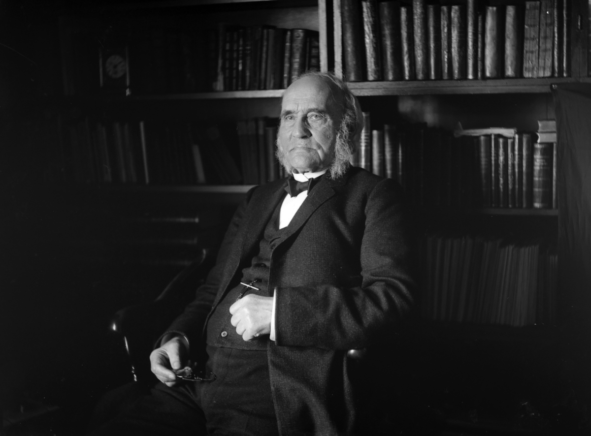 Hamar, Olaus Ole Arvesen (1830-1917) grunnlegger av Sagatun ...