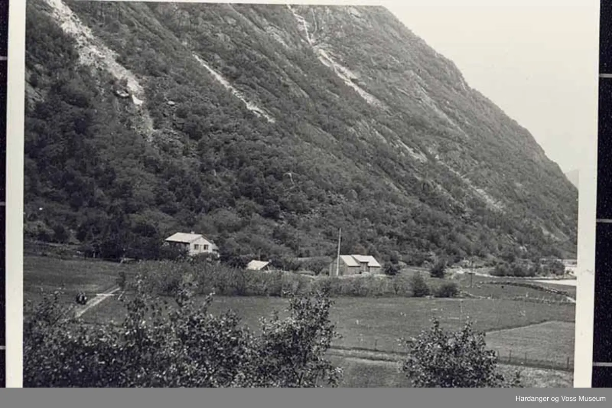 Hus, bebyggelse, gårdsbruk, tre, fjell. Førstetunet B på Lægreid ...