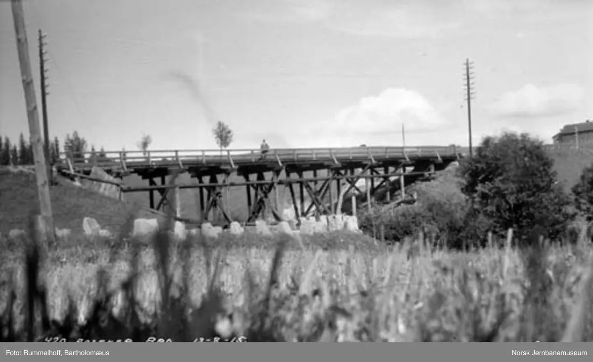 Skitegga (Åsaker) bru -Norsk Jernbanemuseum / DigitaltMuseum