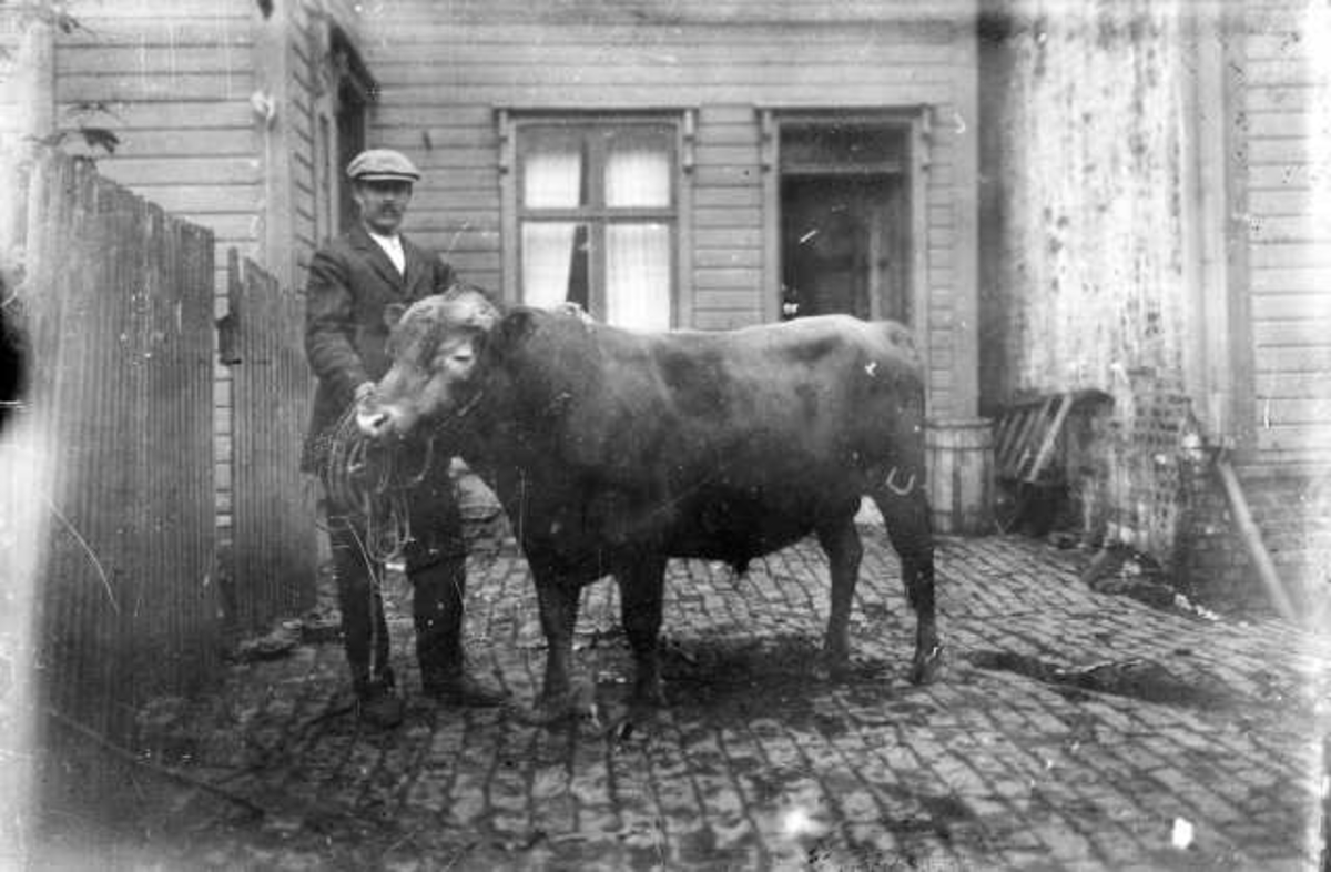 Mann med okse i en bakgård, gårdsplassen til Magnus Monsen (sannsynleg ...
