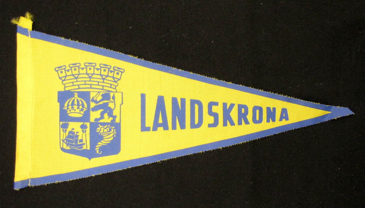 VIMPEL -Vänersborgs museum / DigitaltMuseum