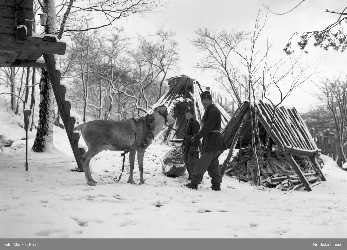 Samiska höst- och vårvistet på Skansen, invigt vårvintern 1939. Kåta ...