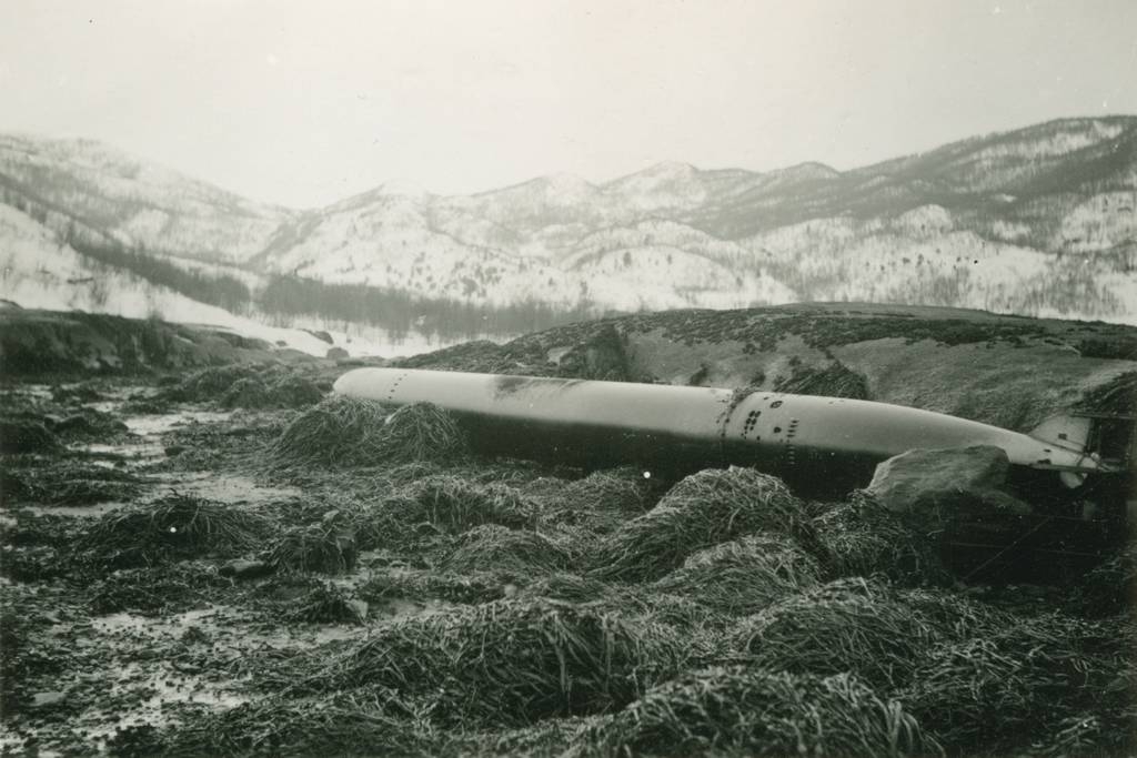 En stor ueksplodert torpedo i fjærsteinene. Tysk (Kriegsmarine) G7a(TI ...
