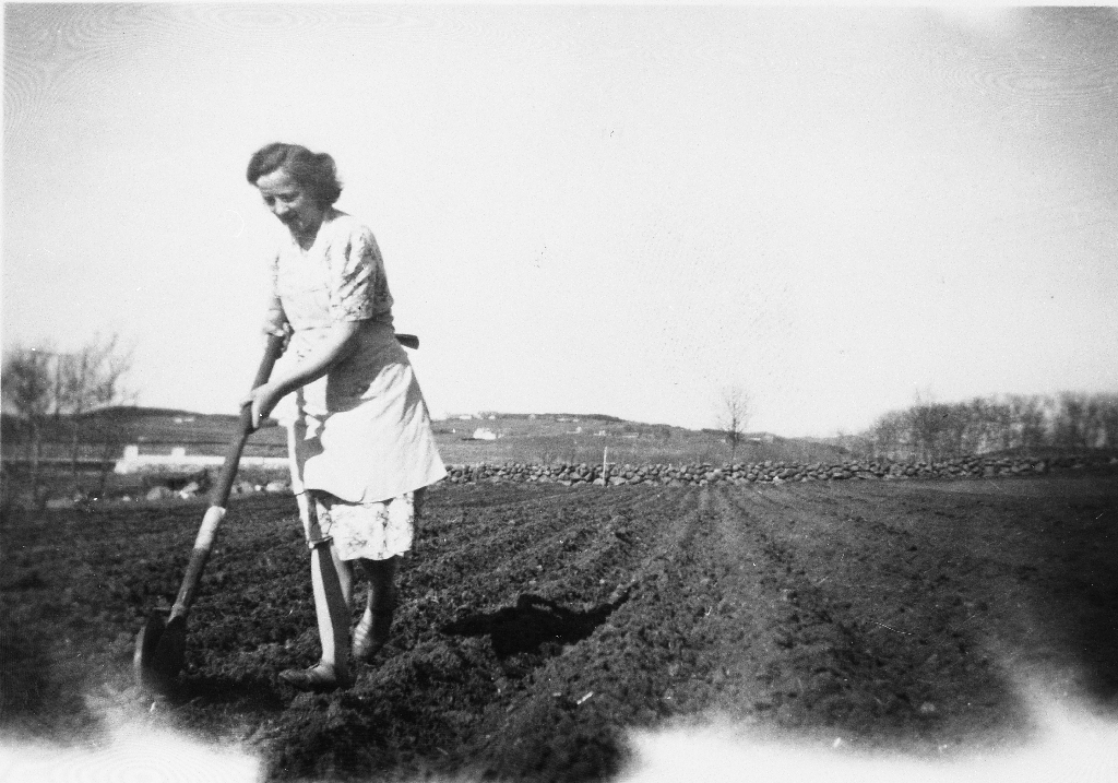 Sofia Marie Fosse f. Undheim (1915 - 2004) sår grønnsaker med såstav ...