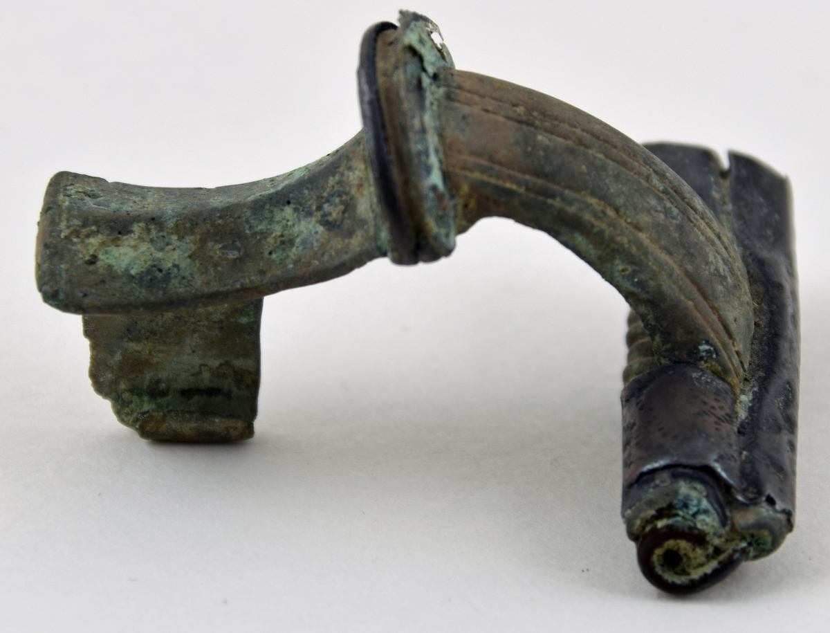Fibula -Västergötlands museum / DigitaltMuseum