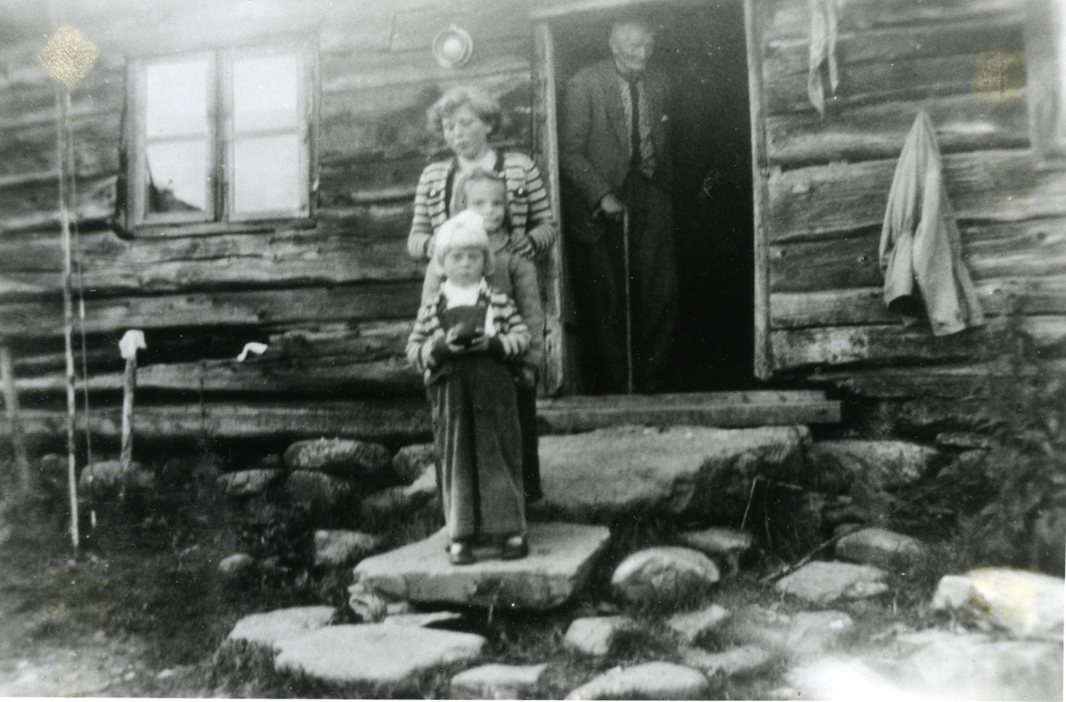 Fjellsetra, Nord-Torpa -Lands Museum / DigitaltMuseum