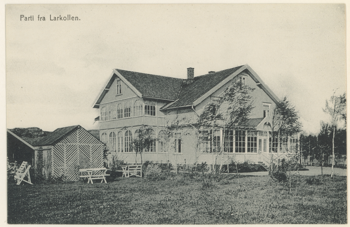 Larkollen (5 postkort) -Mossebibliotekene / DigitaltMuseum