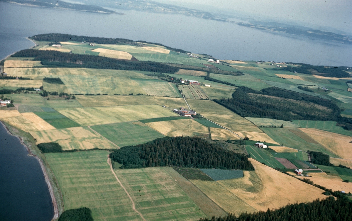 Flyfoto. Oversiktsbilde. Landskap med bebyggelse og dyrket mark - Skogn ...