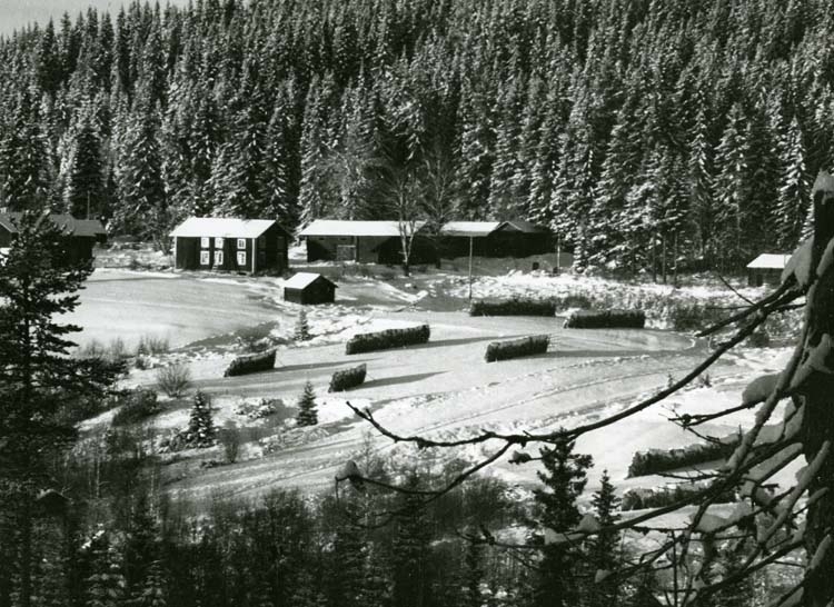 Vid ett skogsbryn ligger en gård i Kölsjön, Hassela vintern 1952. Det ...