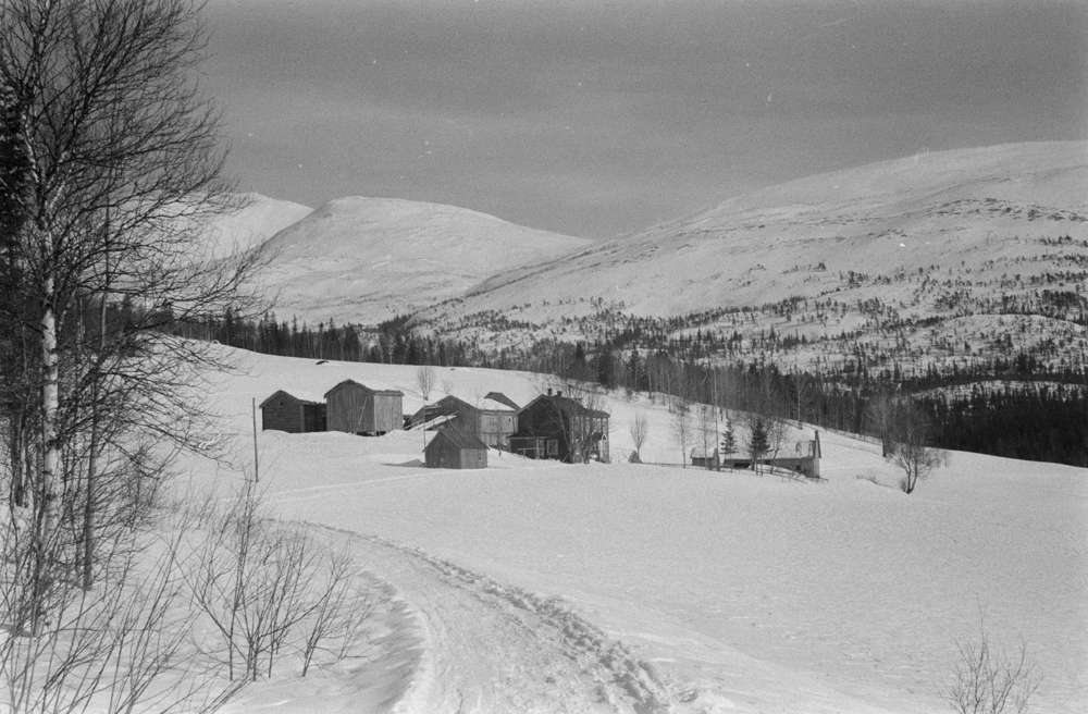 Vinterbilder fra strekningen Halsøy-Luktvatn,med bl.a. Straum og ...