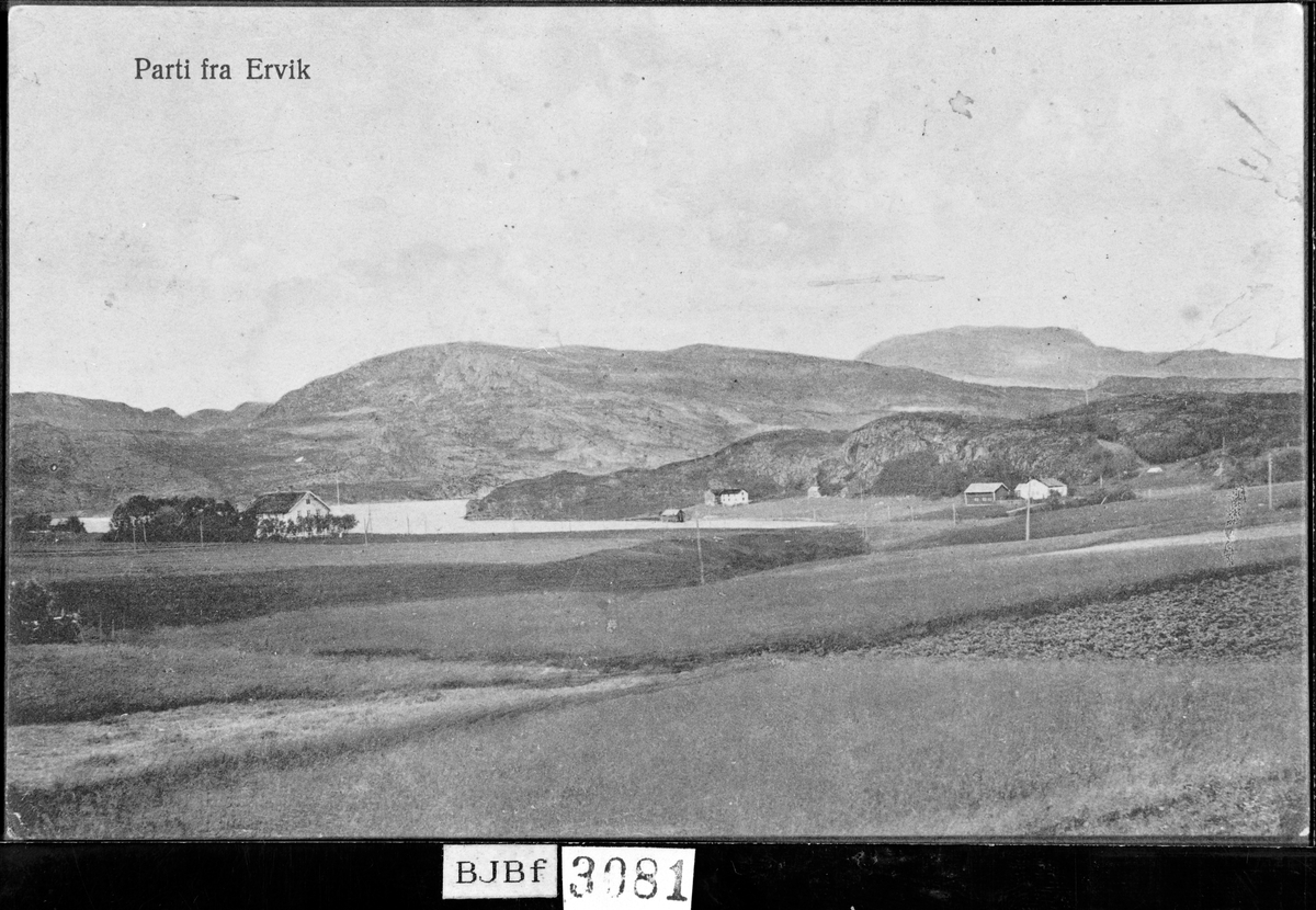 Postkort. "Parti fra Ervik" -Museet kystens arv / DigitaltMuseum