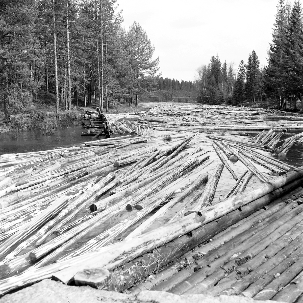 Tømmerfløting. Julussa -Anno Glomdalsmuseet / DigitaltMuseum