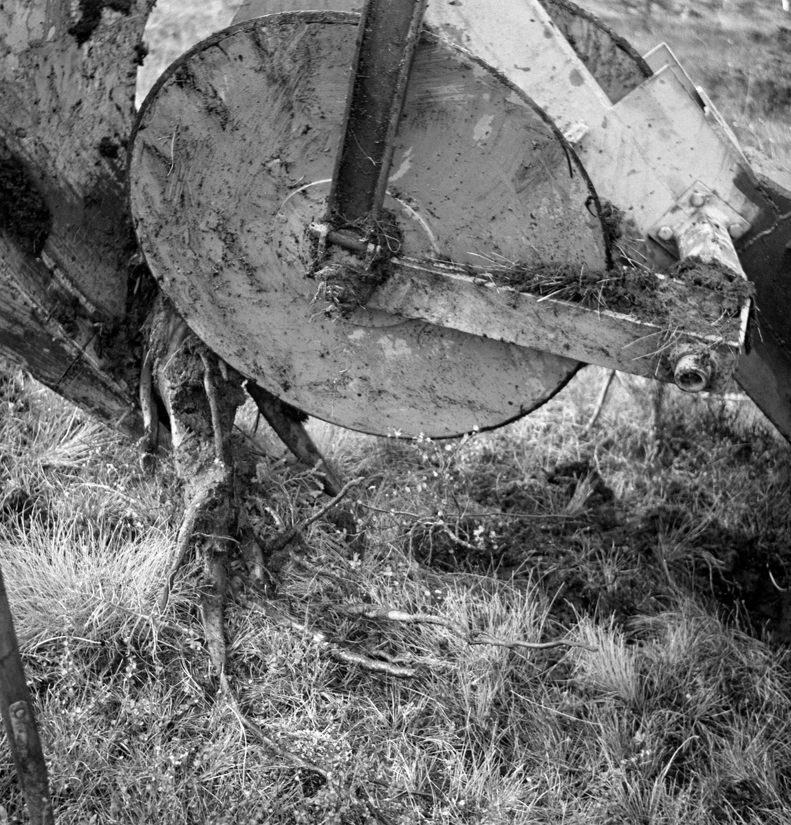 Rullekniv (rulleskjær) på såkalt Vikeid-plog, en grøfteplog som ble ...