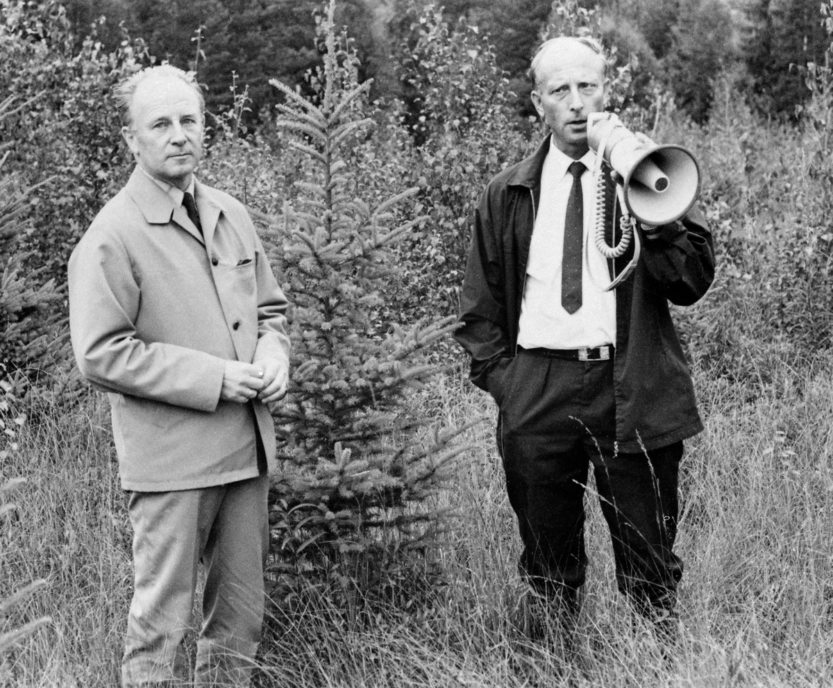 Fra IUFRO-utferd i Norge høsten 1969. Fotografiet er tatt ved ei ...