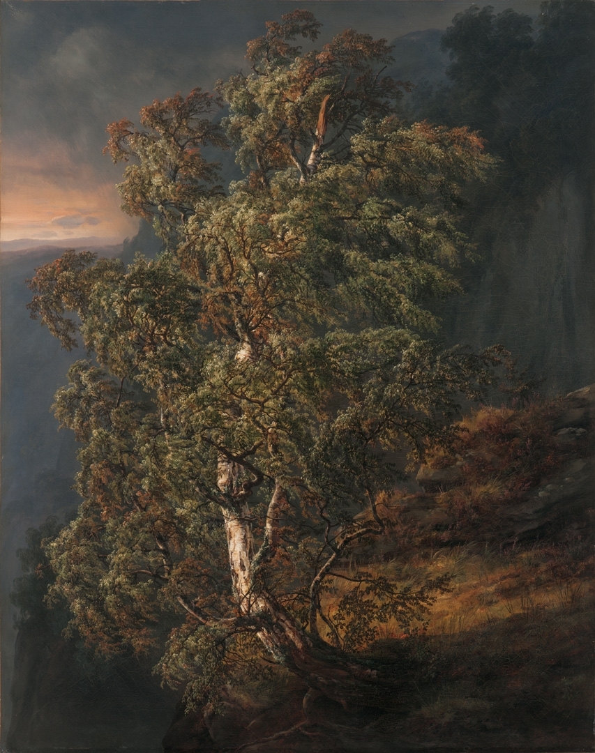 Bjerk i storm [Maleri] -Kode / DigitaltMuseum