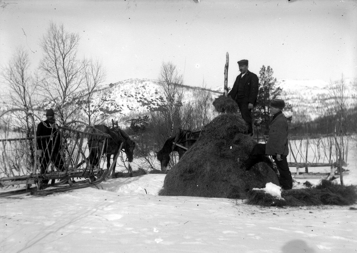 Fotoarkiv etter Aanund Edland. Hans Lie (med skjegg) f.t.v. Øverst på ...