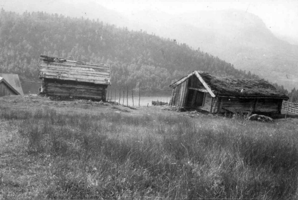 Gaular -Norsk Folkemuseum / DigitaltMuseum