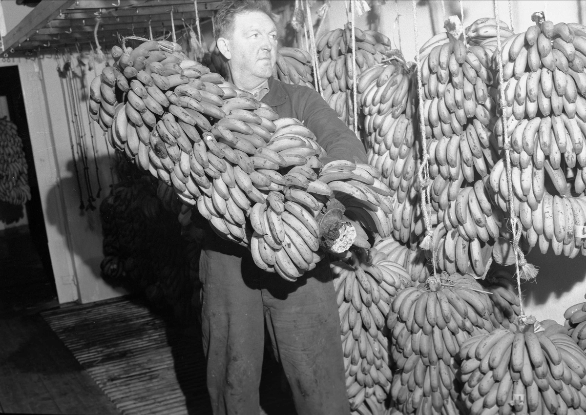 Oslo, 01.06.1956, Banan-Mathiesen, fra bananmodneriet. -Norsk ...